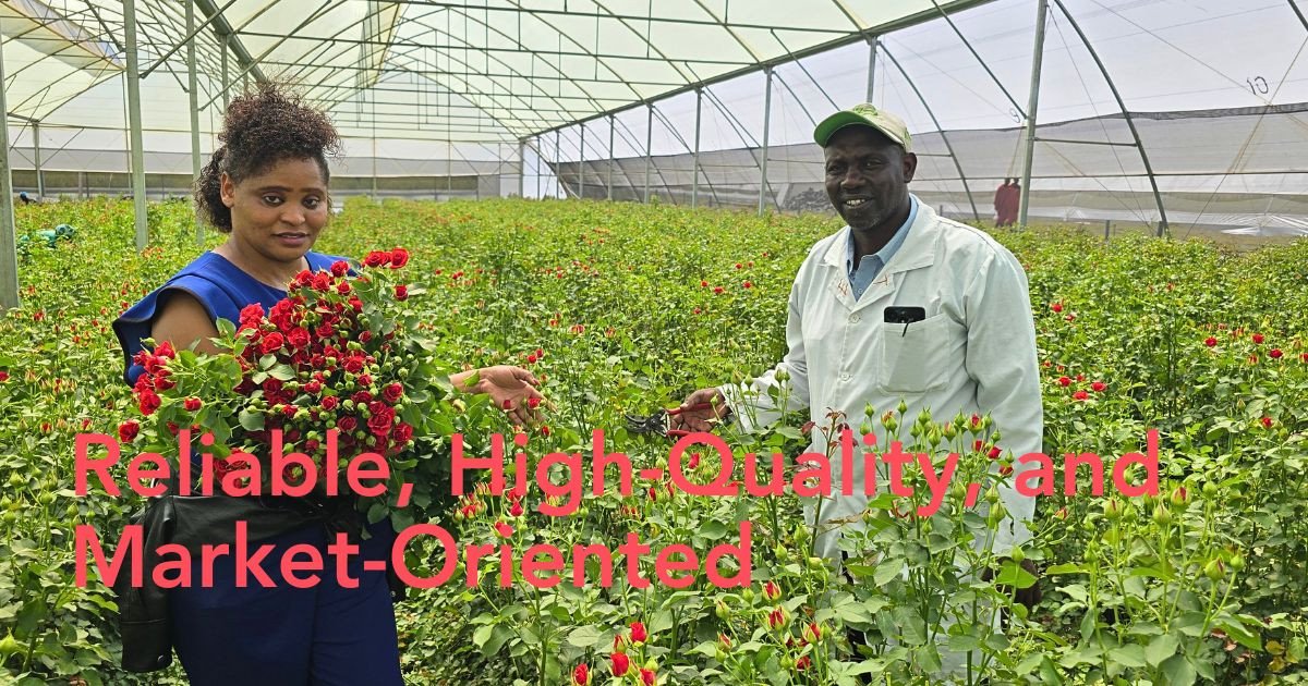 Rosemary Kimunya at Vegpro's Gorge Farm Spray Roses Tour