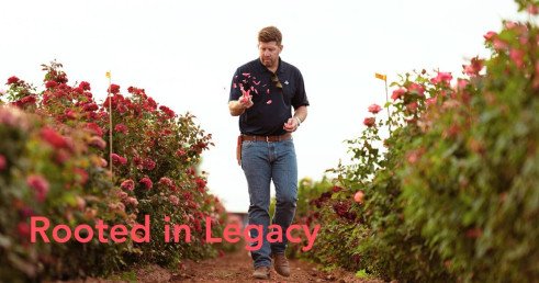 10 Questions to Tyler Francis, the C.E.O of Francis Roses