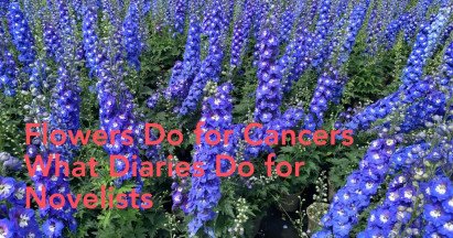 Cancer Zodiac Flower Guide: Roses, Delphiniums Meaning