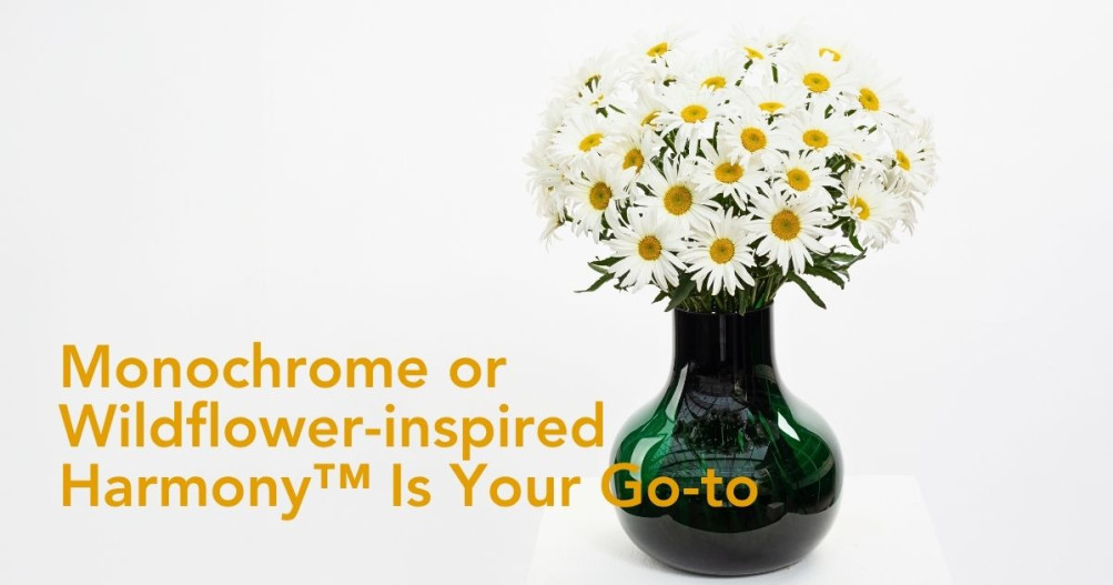 Harmony™ by Danziger – A Flower of Balance and Beauty