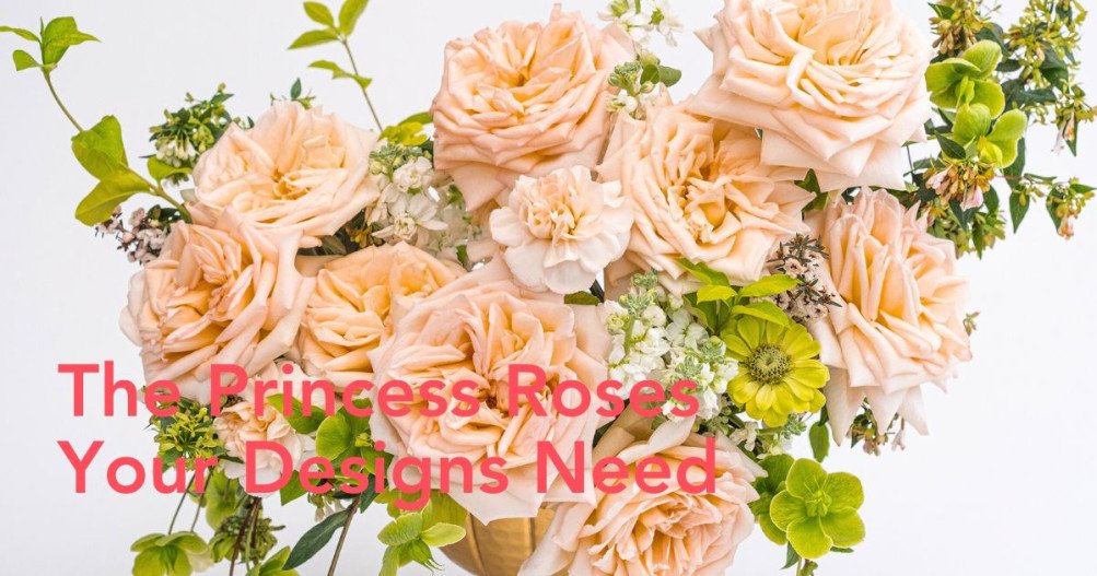 Meet the Princess Garden Roses Grown in the Colombian Highlands