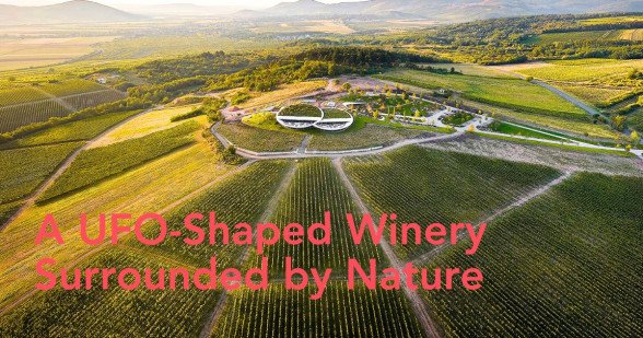 Sauska Tokaj Winery Architecture That Follows Nature