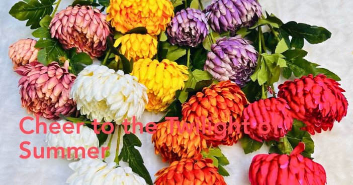 September Birth Flowers Meaning of Aster and Glory