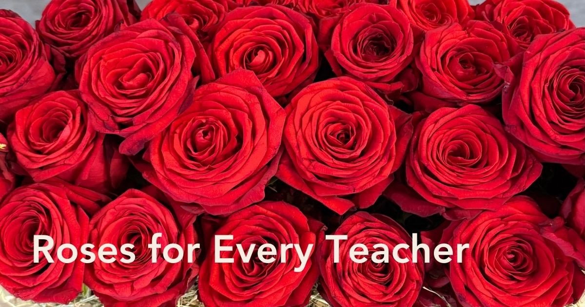 Porta Nova Roses: A Teacher’s Day Tribute Through Design