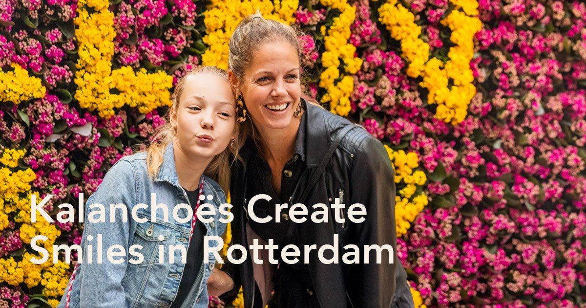 “Stop Talking, Start Planting” – Rotterdam’s Koopgoot Transforms...