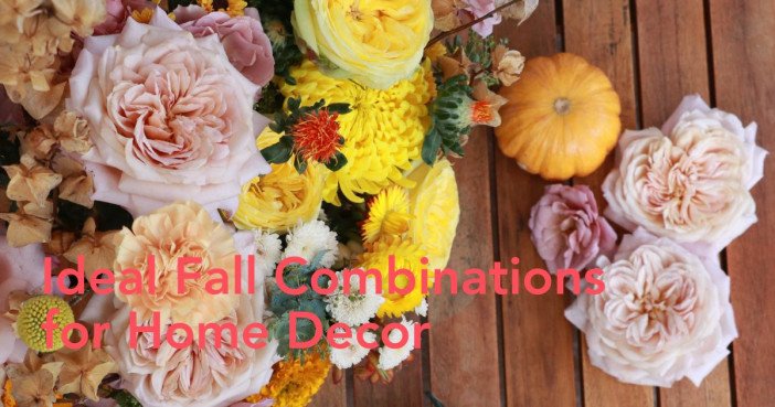 Alexandra Farms Garden Roses for Fall Centerpieces
