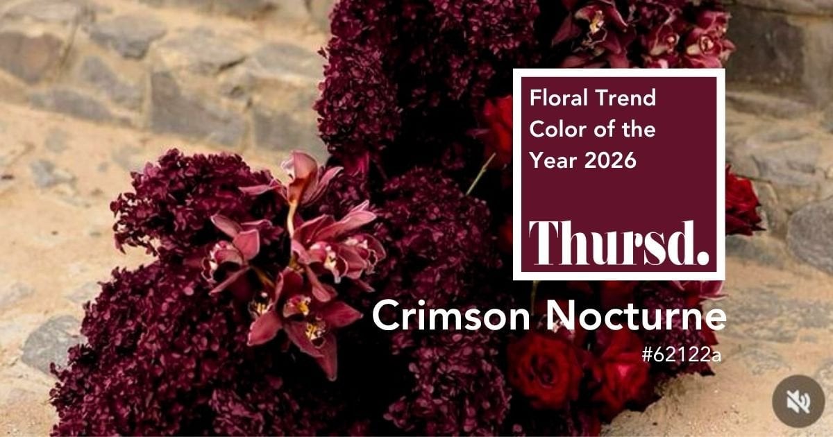 Crimson Nocturne: A Trend Color Year of Floral Power