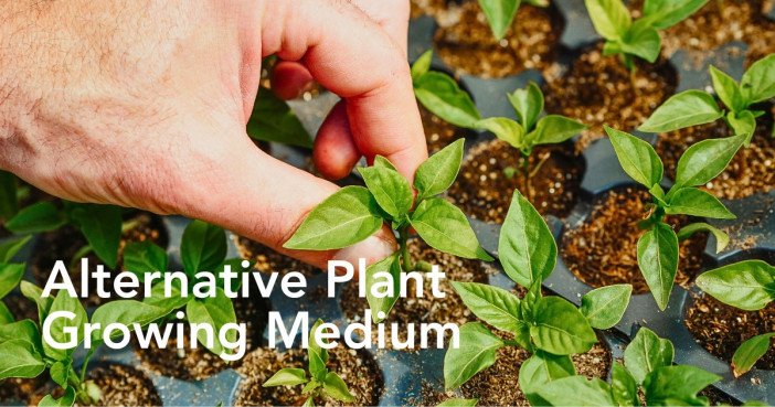 Making a Case for Peat-Free Substrates for Sustainable Floral Produc...