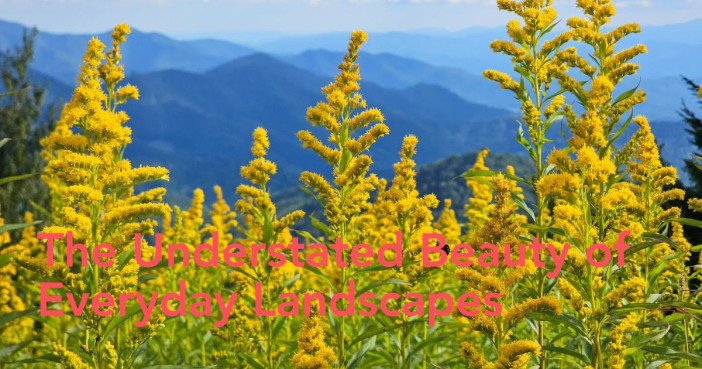 Significance of the State Flower of Kentucky - The Goldenrod